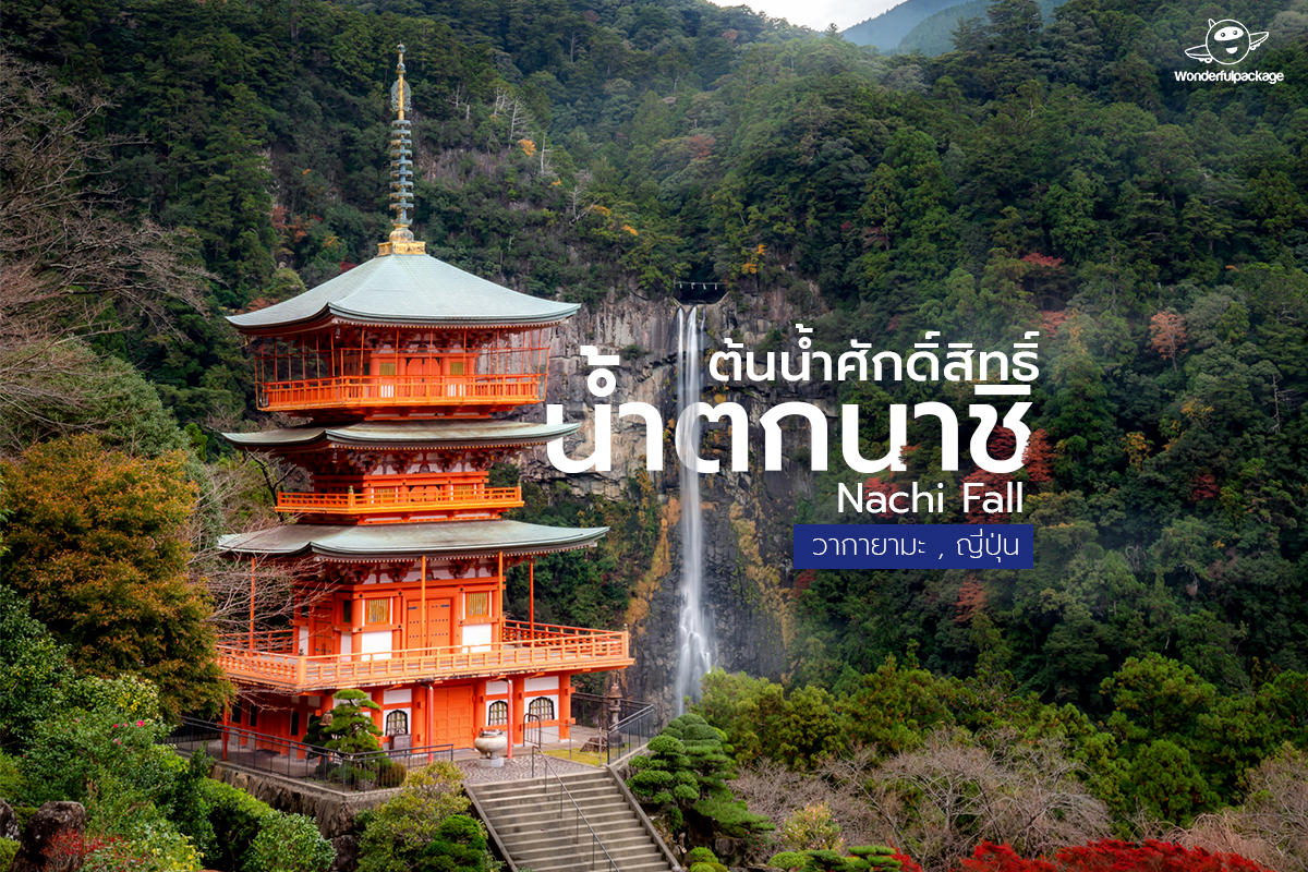 น้ำตกศักดิ์สิทธิ์ของญี่ปุ่น น้ำตกนาชิ (Nachi Fall)